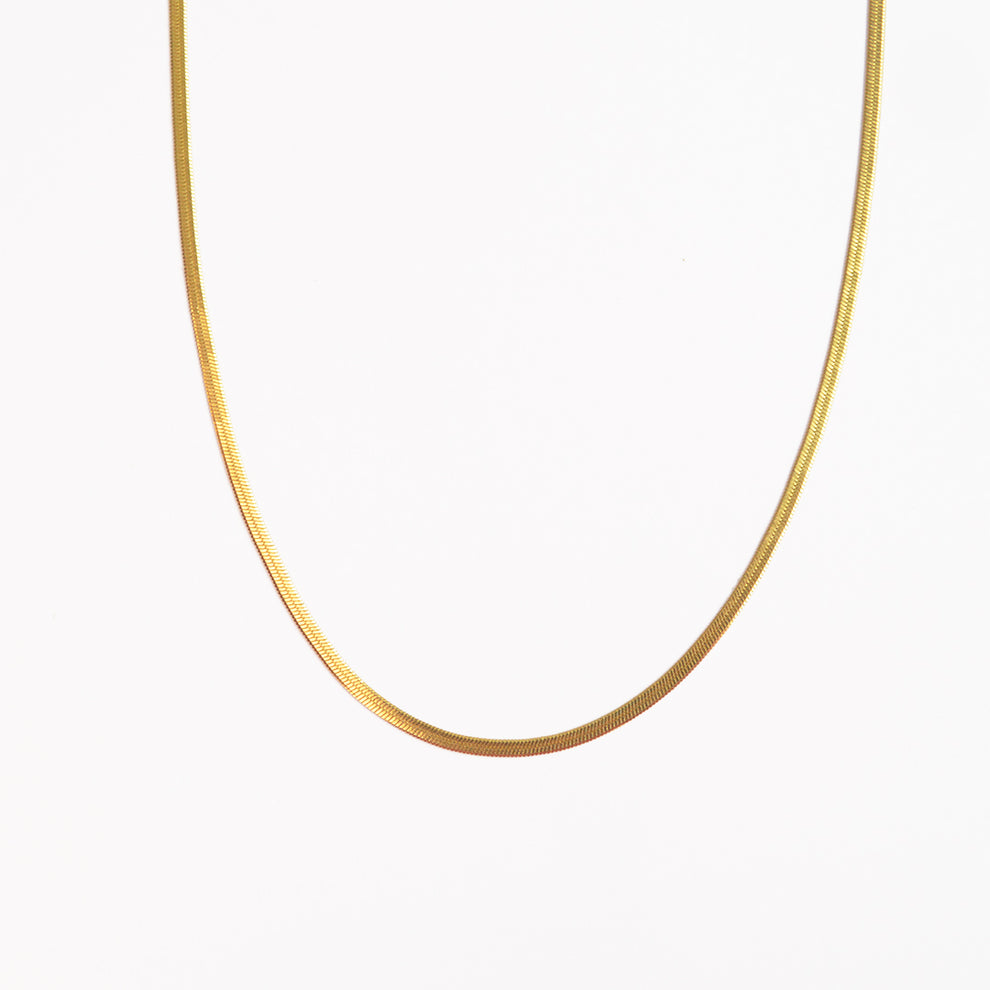 Thin Snake Chain Necklace – House of Nori